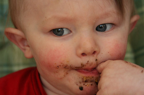 6 photos of a tidy toddler eating his first Oreo « Lifenut