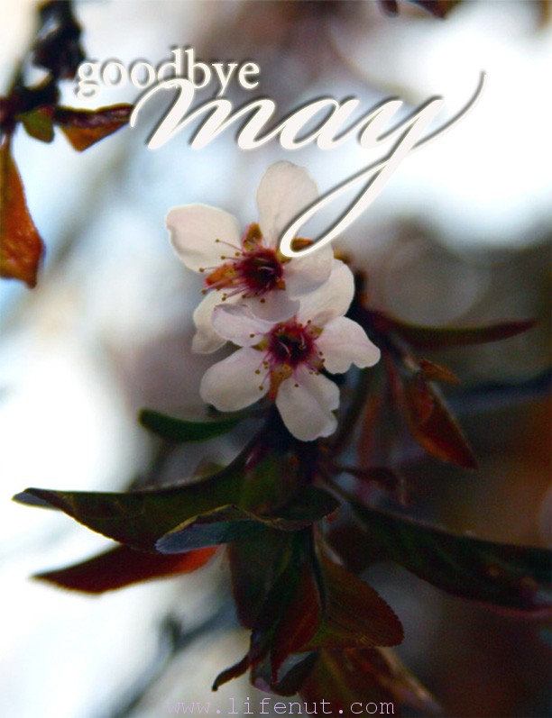 Over ~ May « Lifenut